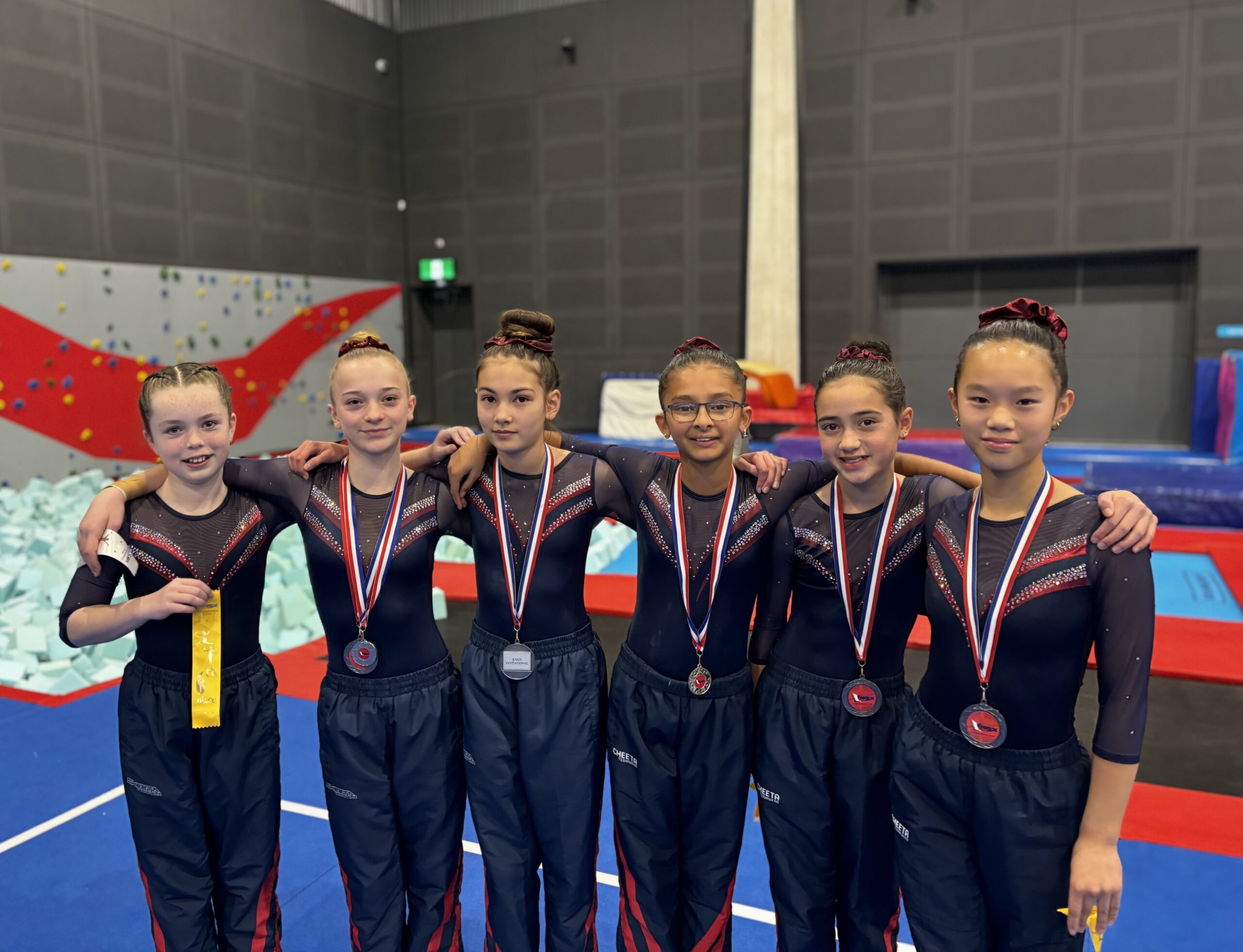Casey Gymnastics Shines at Knox Invitational - Casey Leisure